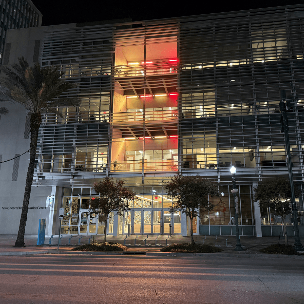 DDD and NOBIC Unveil Creative Lighting Installation Along Canal Street ...